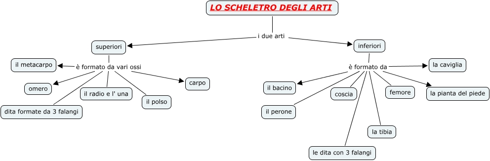 LO SCHELETRO DEGLI ARTI - Mappa Concettuale